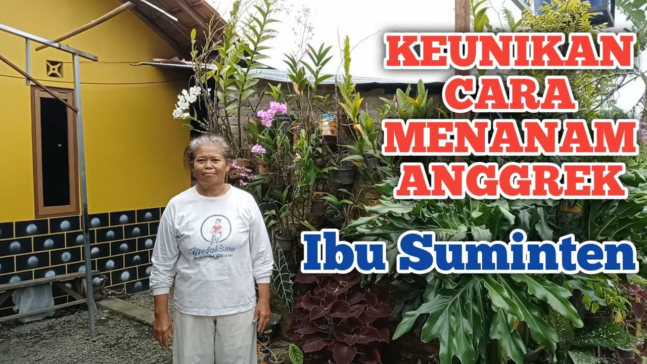 KEUNIKAN CARA MENANAM ANGGREK BU SUMINTEN - YouTube