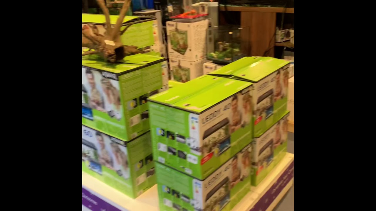 Buying groceries and more fish for our aquarium - YouTube