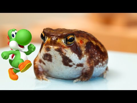 🐸 Yoshi ⊙︿⊙ - Super Mario Bros - YouTube