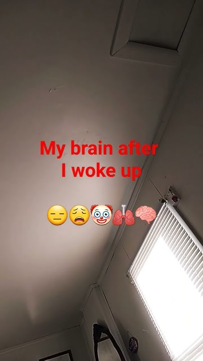 my brain after I wake up #wakingup #humor - YouTube