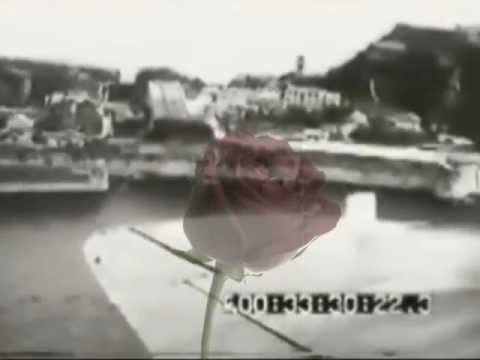 ΚΟΚΚΙΝΟ ΤΡΙΑΝΤΑΦΥΛΛΟ - YouTube