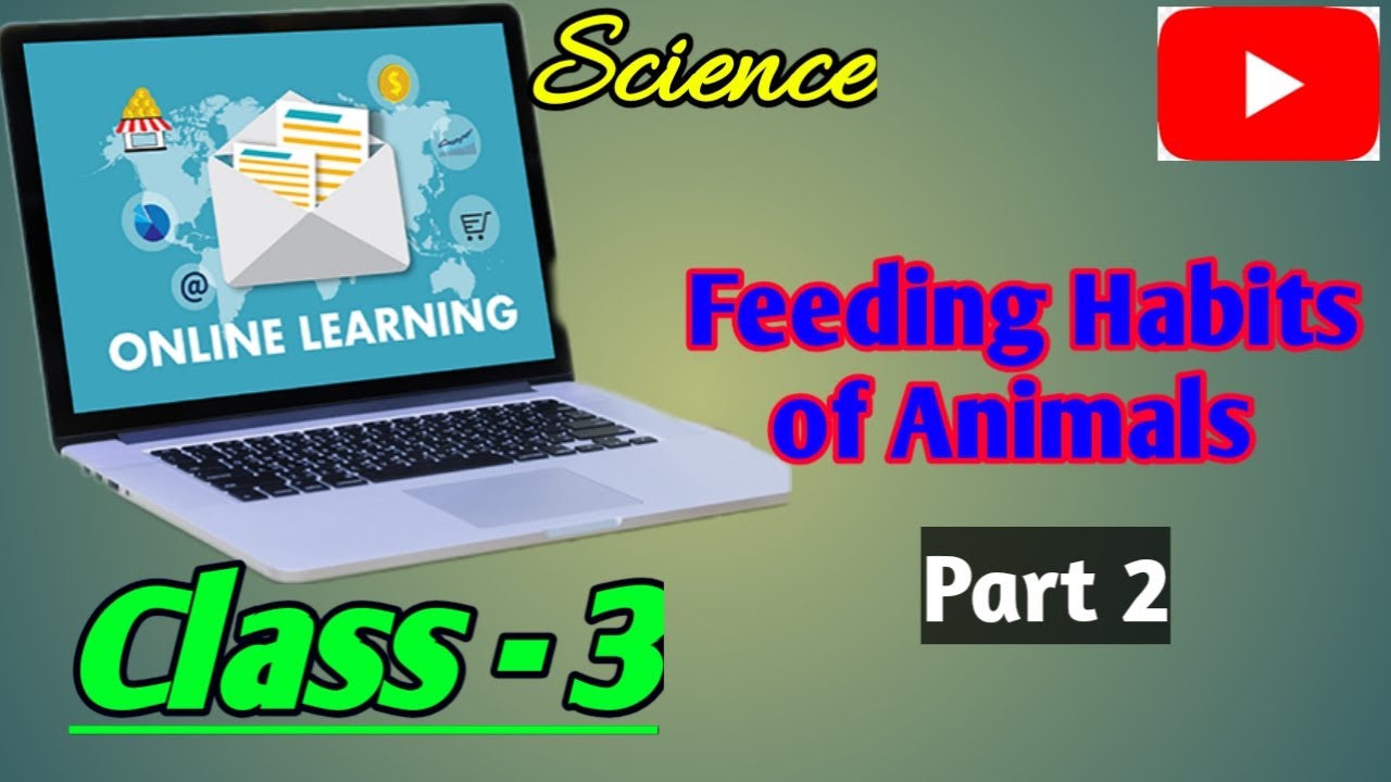 Class - 3, Science || Feeding habits of Animals || Part - 2 // - YouTube