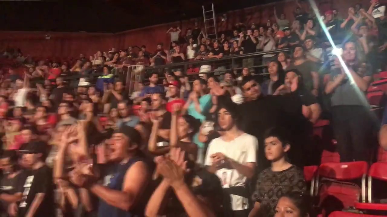 Vico C En Chile - Explosion - YouTube