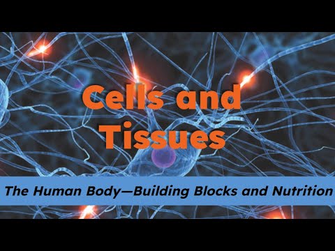 CKLA Grade 2 Domain 10 Lesson 3 Cells and Tissues - YouTube