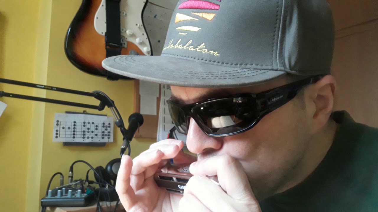 Beatles - All My Loving - C Cascha HH 2272 Chromatic 10-40 Blues Harmonica , practice - YouTube