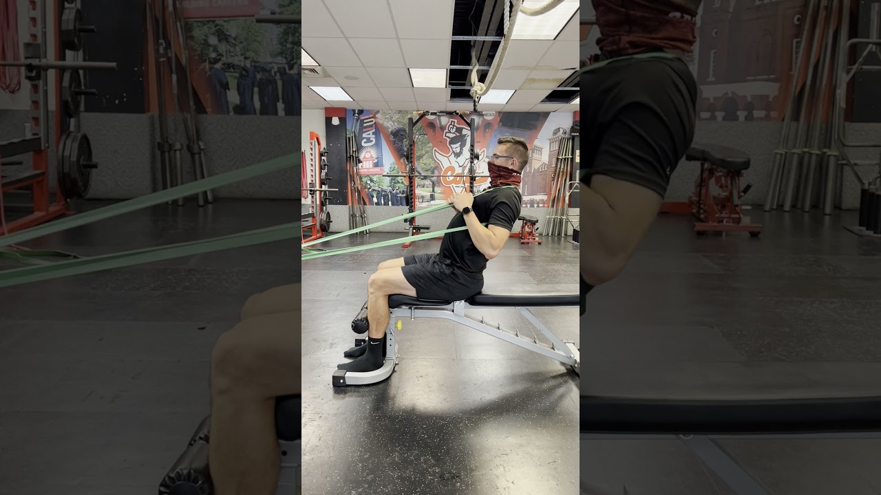 Seated Lumbar Extension W/ Bands - YouTube
