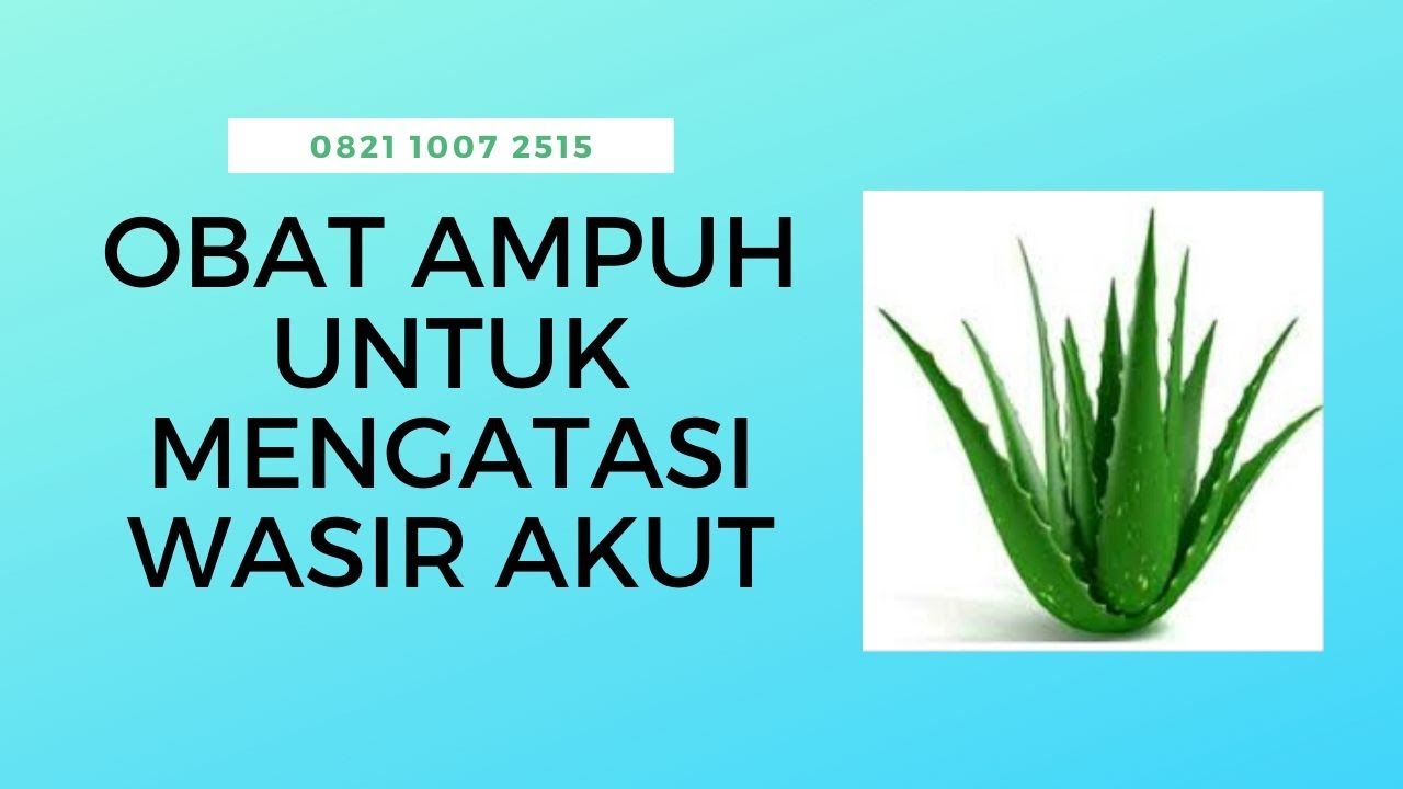 OBAT AMPUH UNTUK MENGATASI WASIR AKUT - YouTube