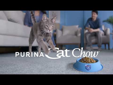 Purina Cat Chow—Everybody’s WOW about the Chow, Chow, Chow