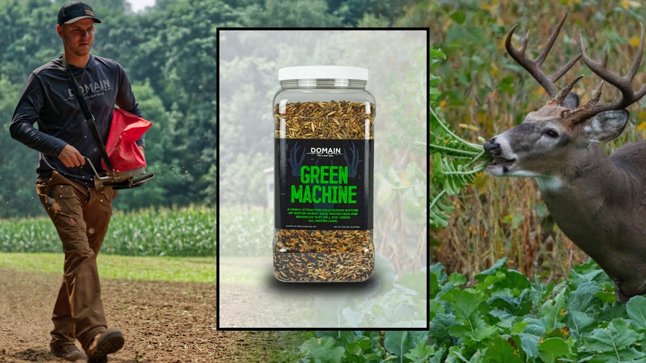 Domain Outdoor Green Machine - YouTube