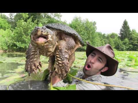 Breaking Trail - Official Trailer 2014 - YouTube