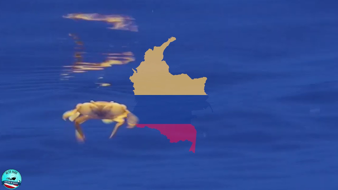 Alta Mar EP 02 - Los Mares - YouTube