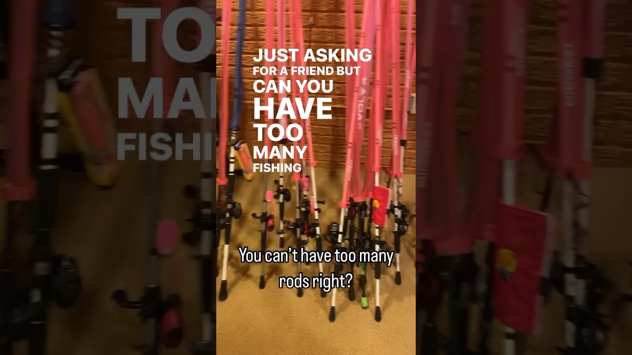 No such thing as too many fishing poles - YouTube