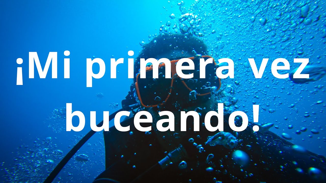 ¿Vale la Pena Bucear en el Tayrona? Mi Experiencia en este Paraíso 🌊 ...