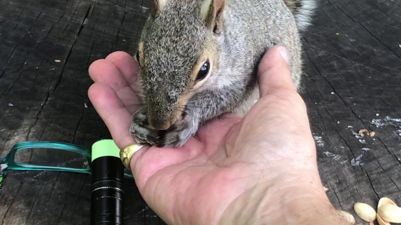 Here ya Go - YouTube