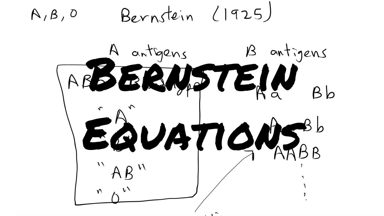 Bernstein's Equations | ABO Blood Typing Example - YouTube