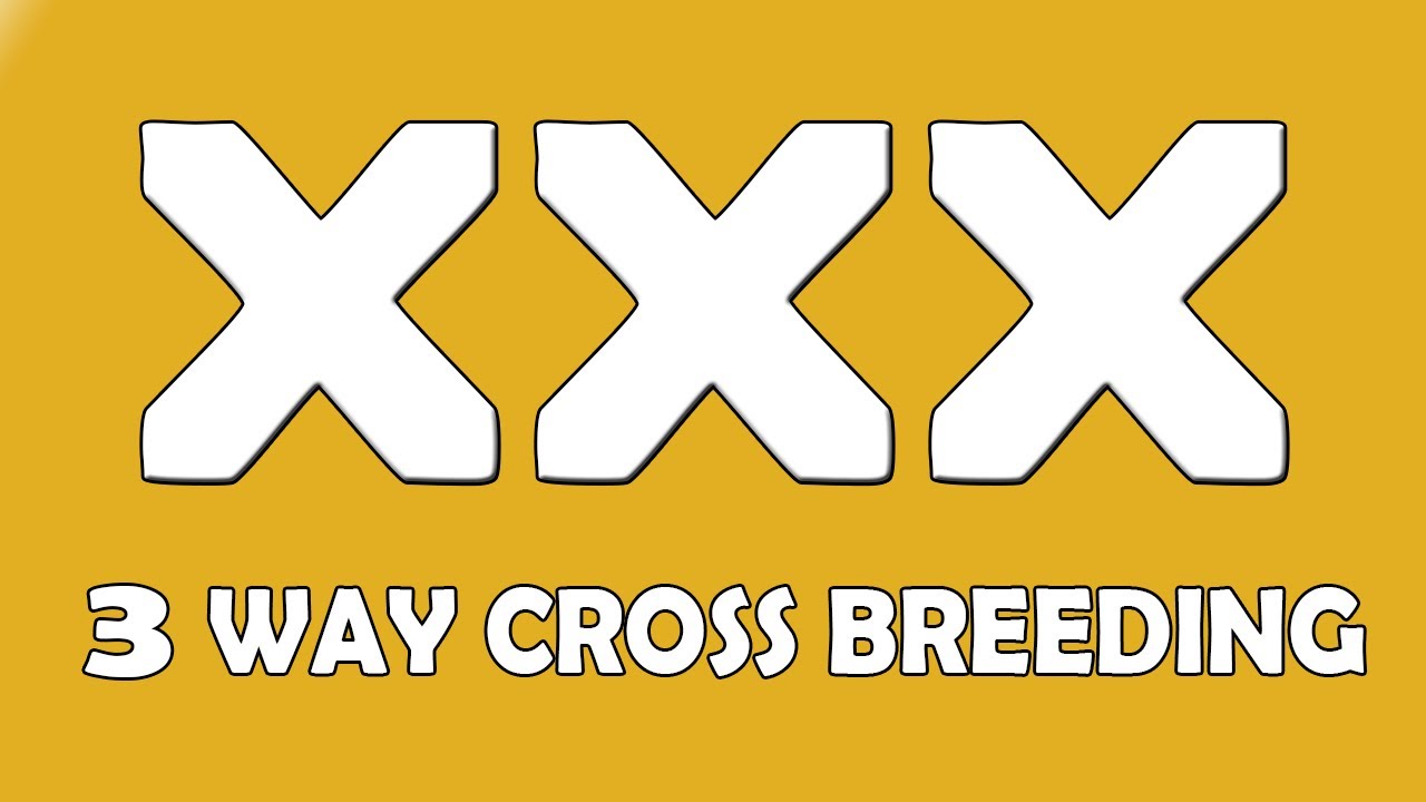 Bakit kailangan mag 3 WAY-CROSS ? - YouTube