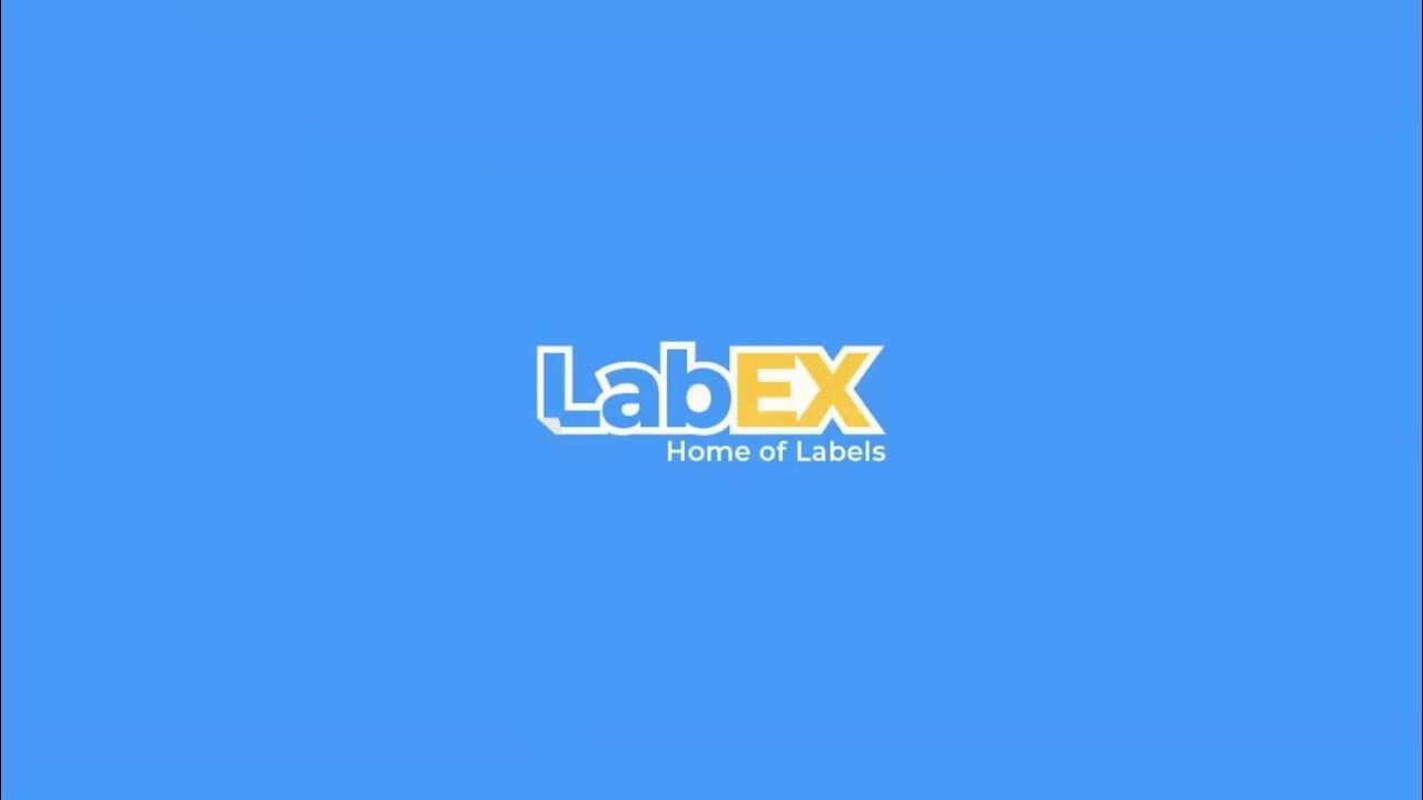 How to set up files for LabEX editor - YouTube