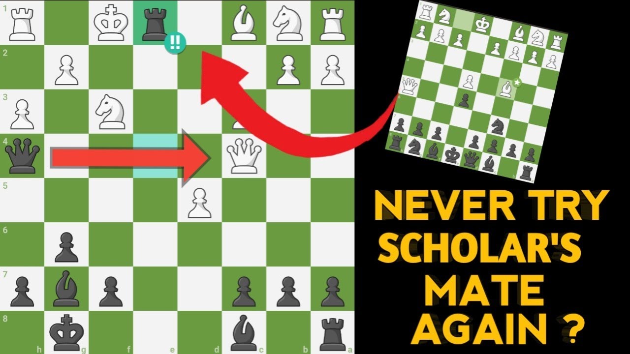 Punish The Scholars Mate Opponent Like This !!! Never Try Scholar Mate Again - YouTube