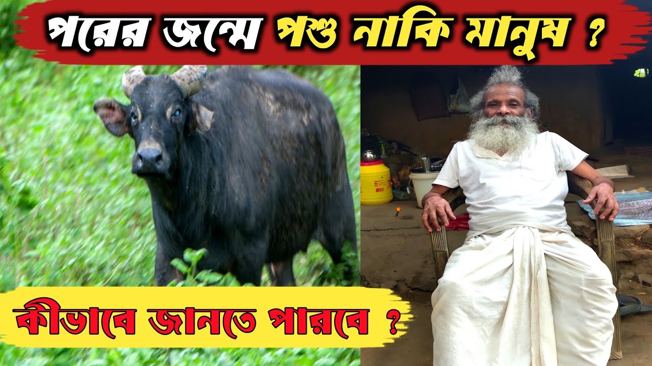 Pahari Baba -পরের জন্মে পশু নাকি মানুষ? কি ভাবে জানতে পারবেন? # ...