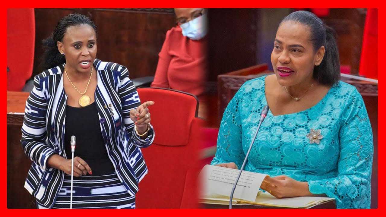 ESTER BULAYA AVAANA NA WAZIRI KAIRUKI/ UNATUMIA VIBAYA FEDHA ZA UMMA ...