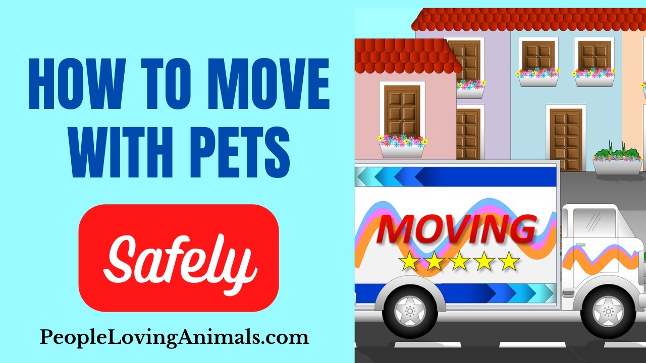 How to Move with Pets | Moving with Pets | How to Move With a Dog | How ...