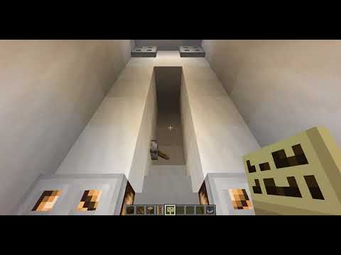 Newton's law of motion in minecraft - YouTube