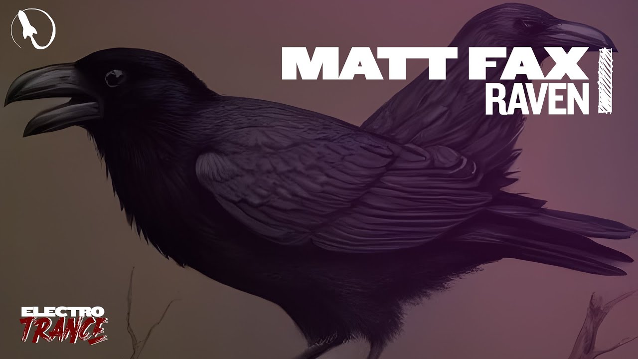 Matt Fax - Raven (Extended Mix) - YouTube