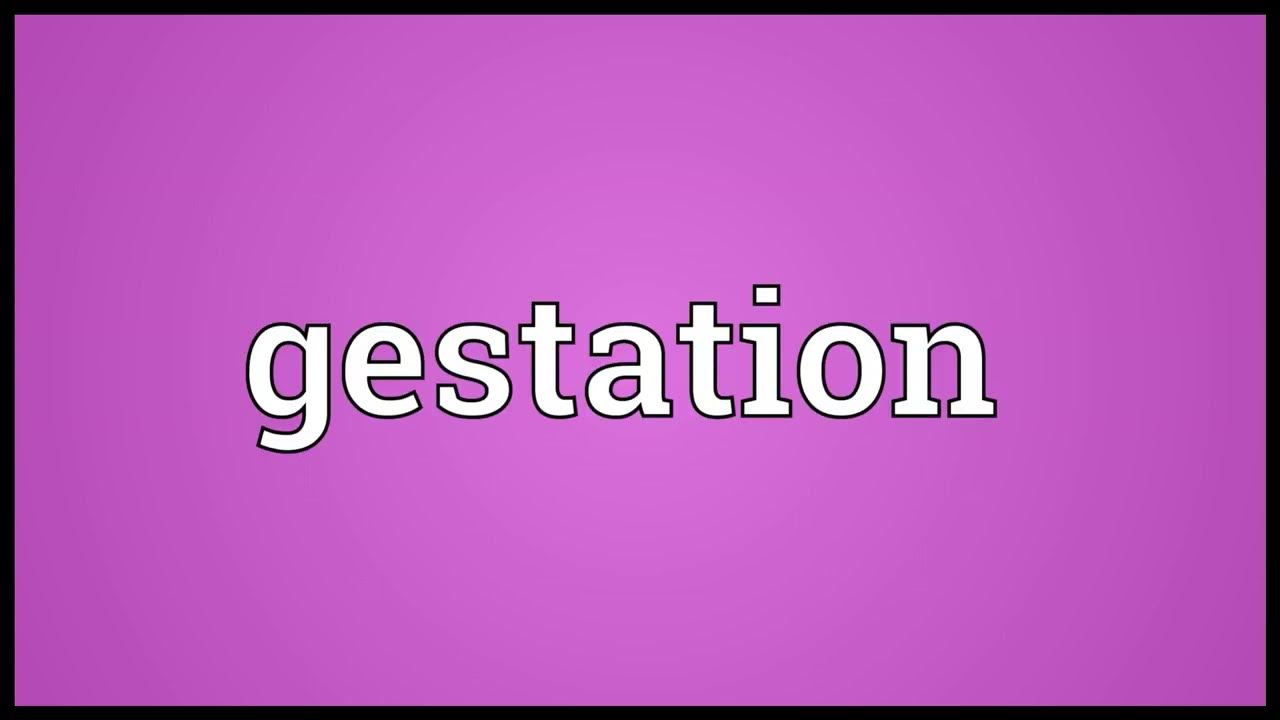 gestation-meaning-youtube