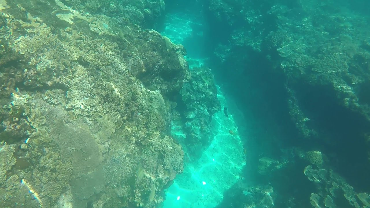 Boult Reef part 2 - YouTube