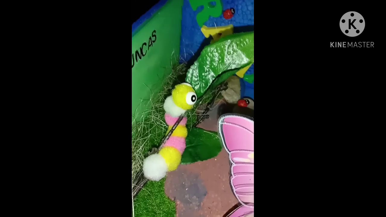 Kitaran Kehidupan Rama-Rama Sains Tahun 2/2020 - YouTube