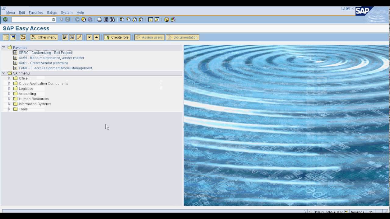 SAP Basic settings complete configuration. - YouTube