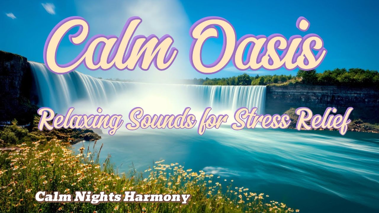 Calm Oasis | Relaxing Sounds for Stress Relief. - YouTube