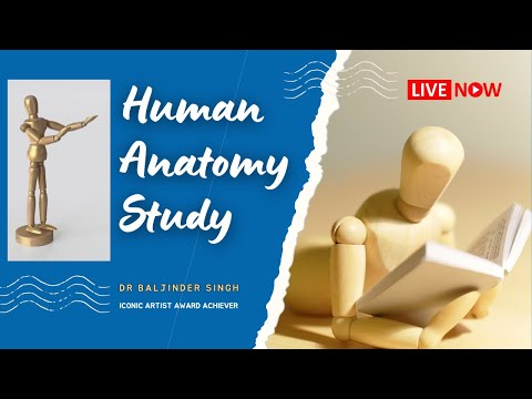 LEC8 "Mastering Human Anatomy Drawing: A Comprehensive Guide on How to ...