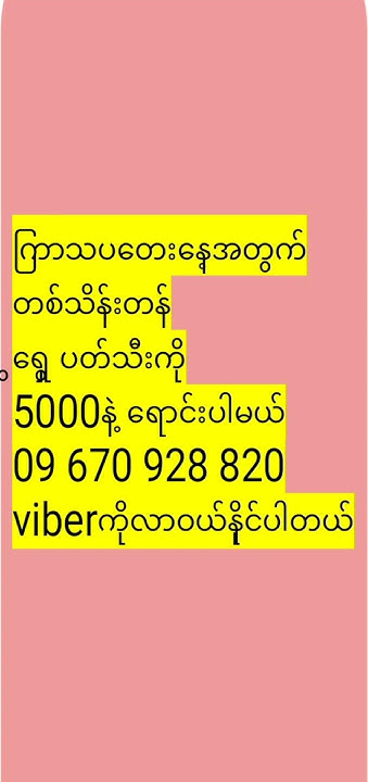 ြကာသပ ေ တး ေန့အတွက် တစ်သိန်းဖိုးပတ်မလားပတ်သီးအမာရ ြ ပီဗျ Youtube