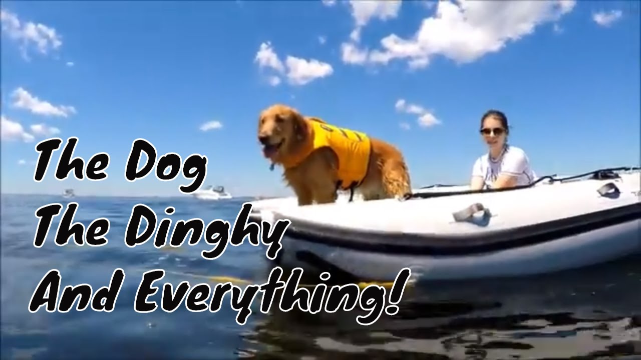 79: The Dog, The Dinghy and Everything! - YouTube