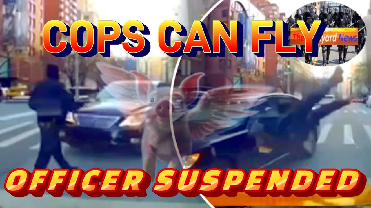 She Sent The Cop Flying But Arresting Officer Is In Hot Water - YouTube