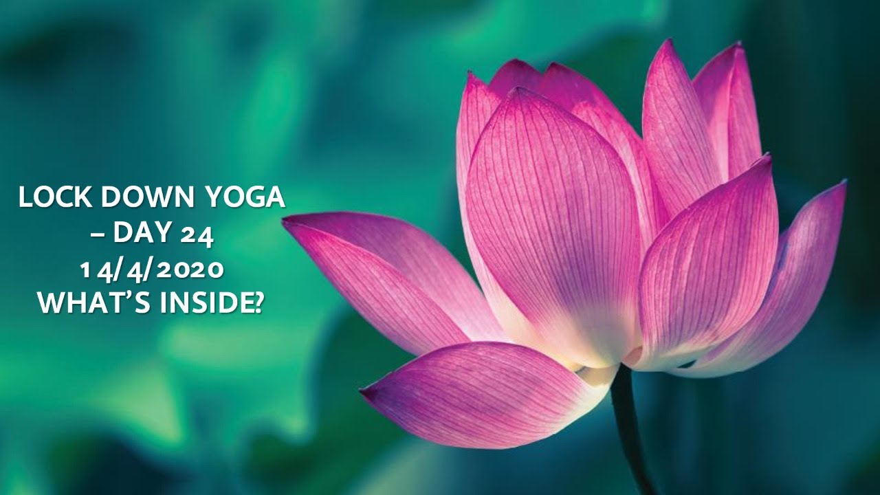 LOCK DOWN YOGA - DAY 24 14/4/2020 WHAT'S INSIDE - YouTube