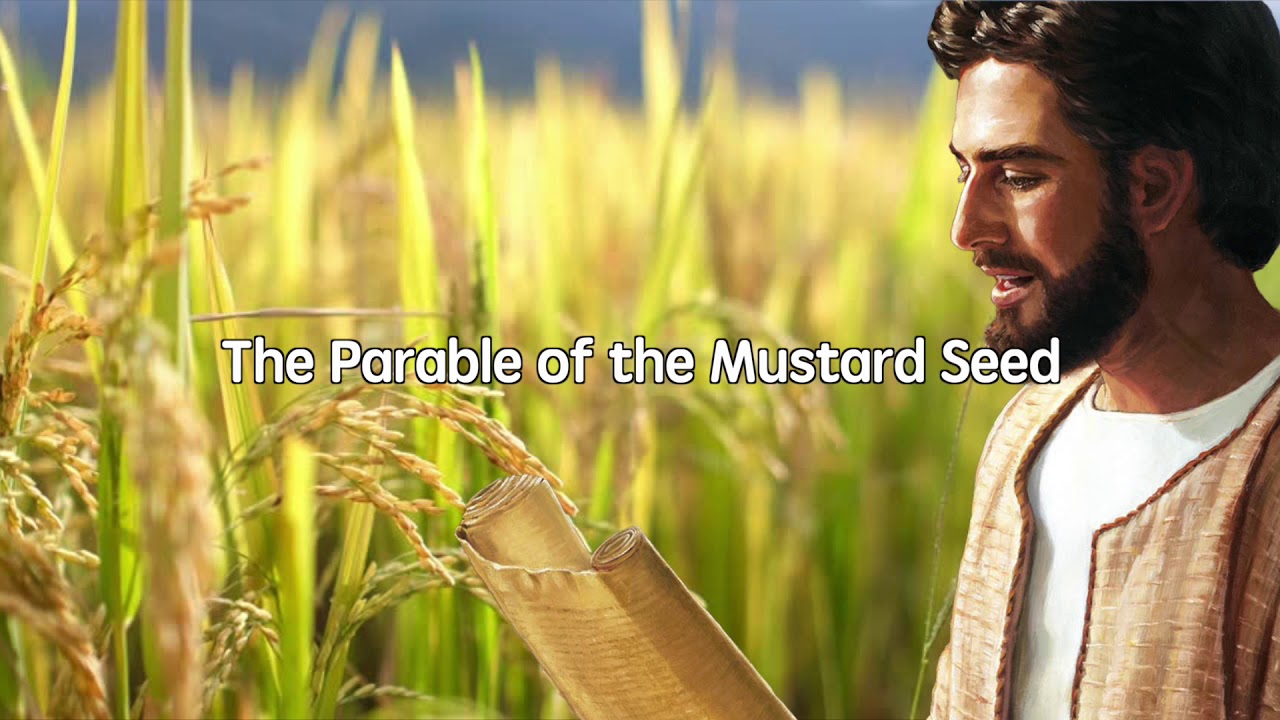 Mark 4 26 34 The Parable Of The Growing Seed The Parable Of The