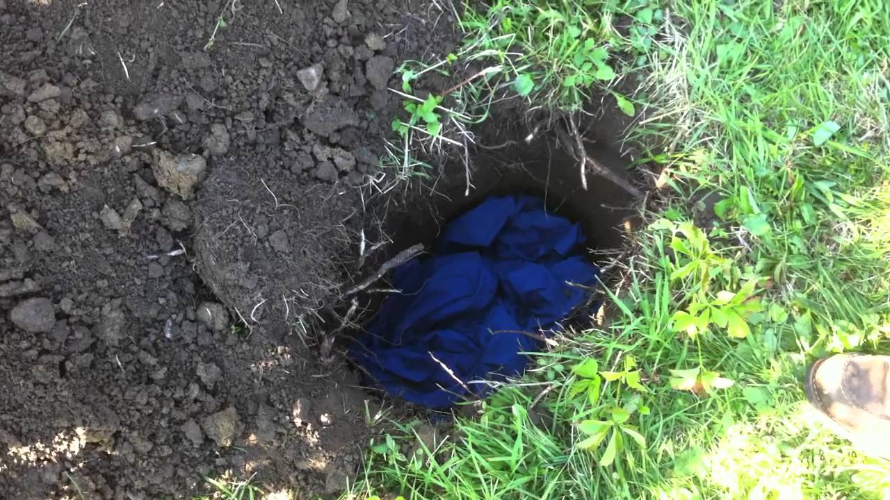 Cat Funeral - YouTube