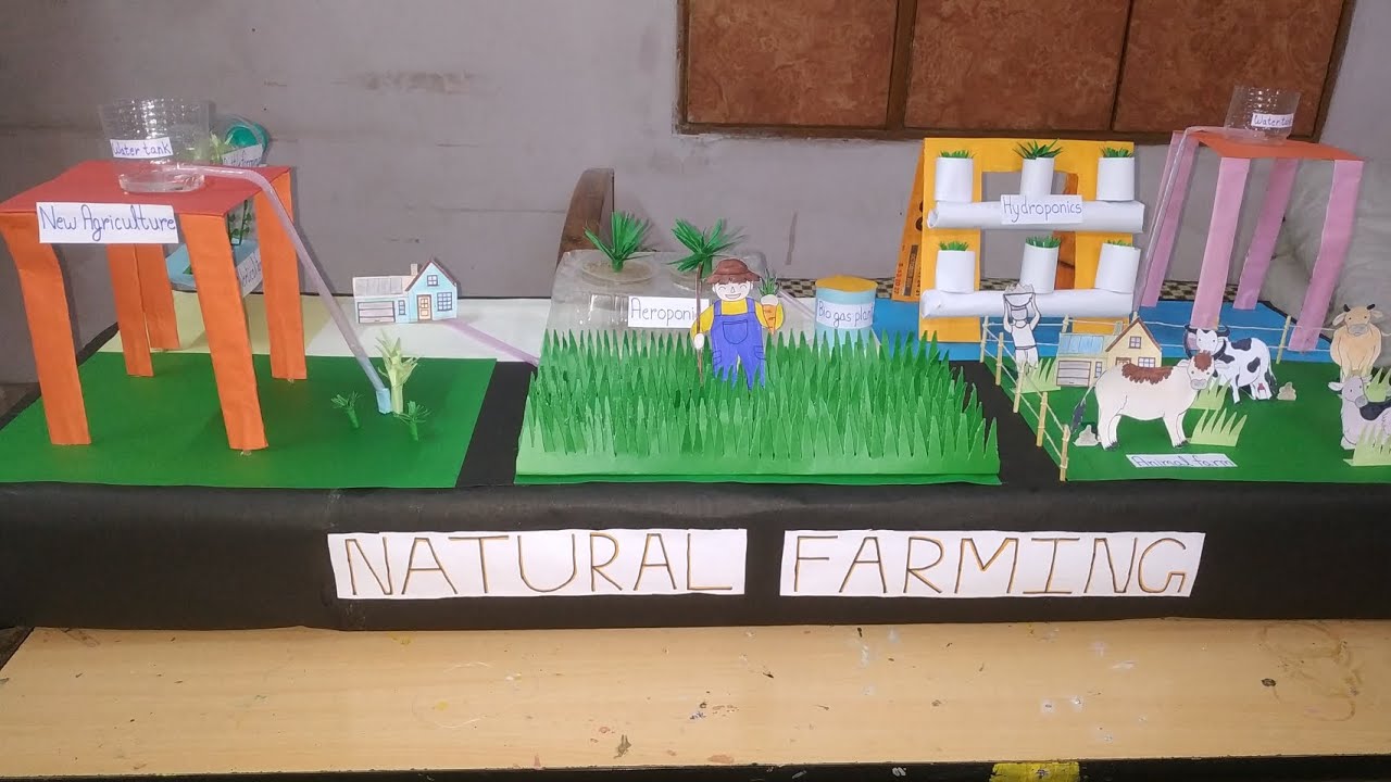 Natural Farming Model for School | Project | Science model #science # ...