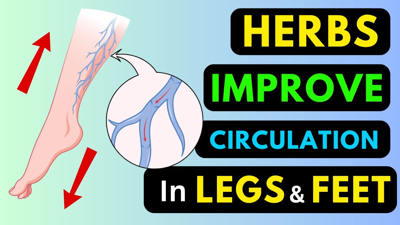 10 Miracle Herbs to Supercharge Your Leg Circulation NOW! | Stay ...