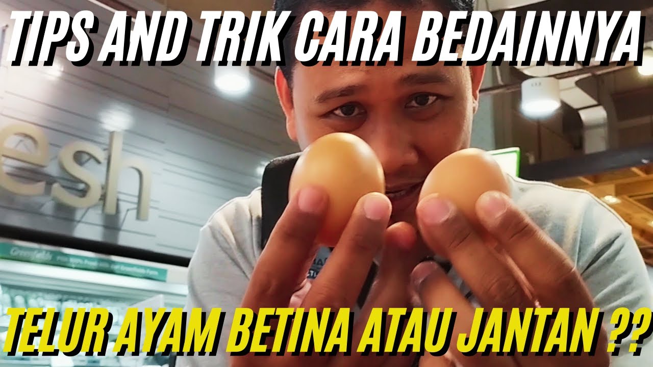 TELUR AYAM CURAH DI SWALAYAN BEBAS PILIH SESUKA HATI AWAS PECAH ...