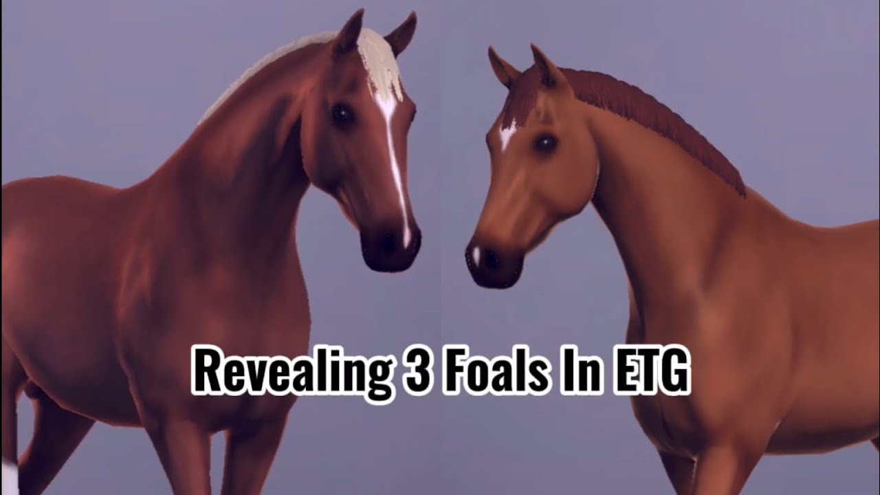 Revealing 3 Foals In ETG #equestrianthegame - YouTube