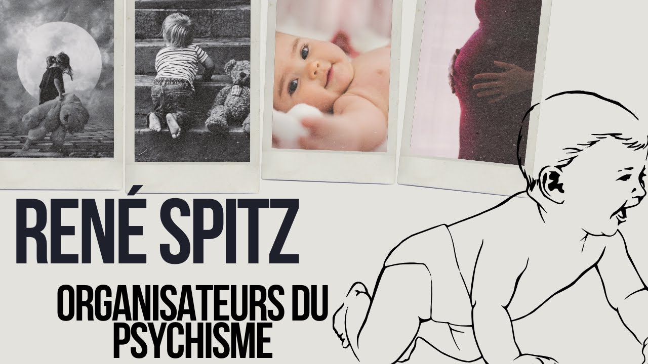Organisateurs du psychisme selon René Spitz - YouTube