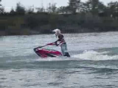 rickter xfs ninja 1200 - YouTube