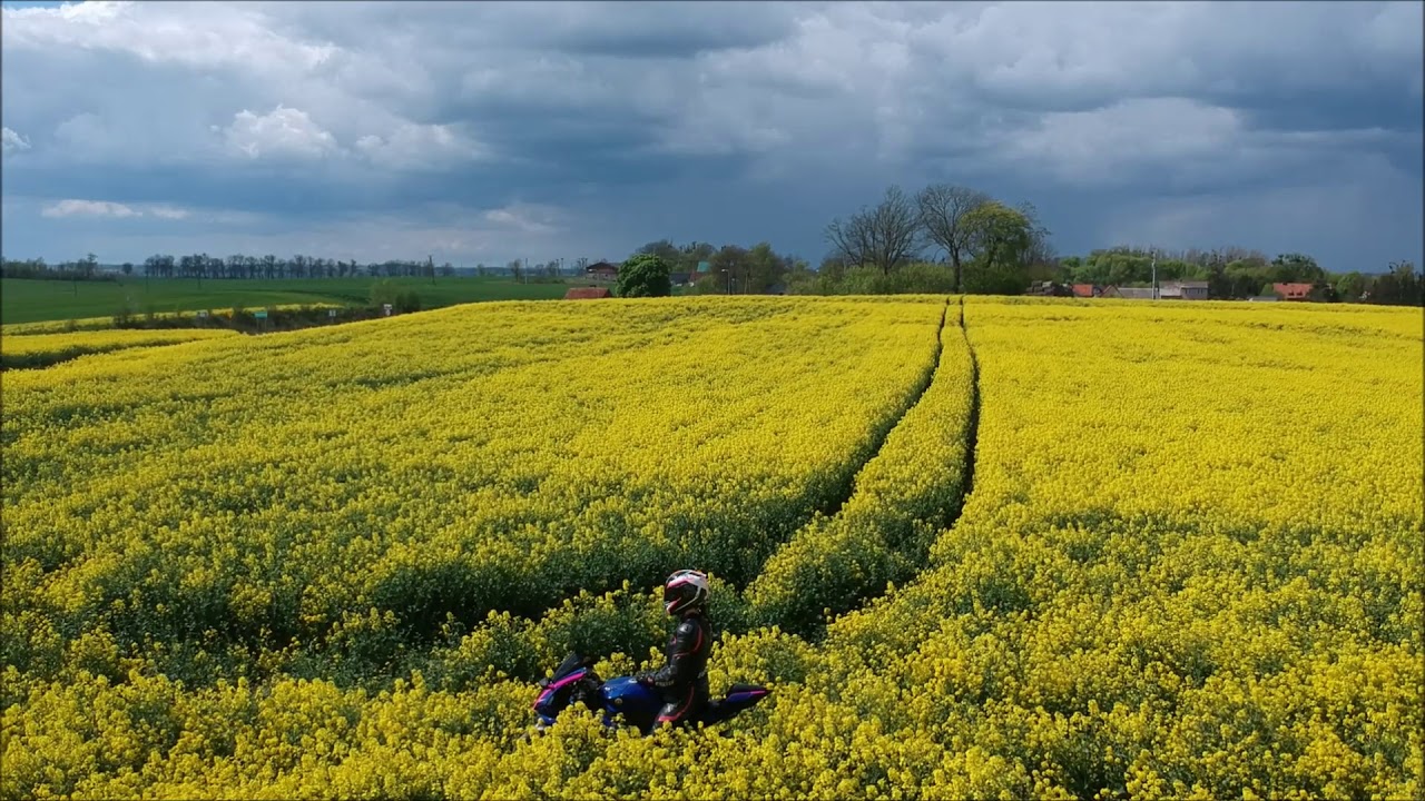 Yamaha R6 RJ27 - YouTube