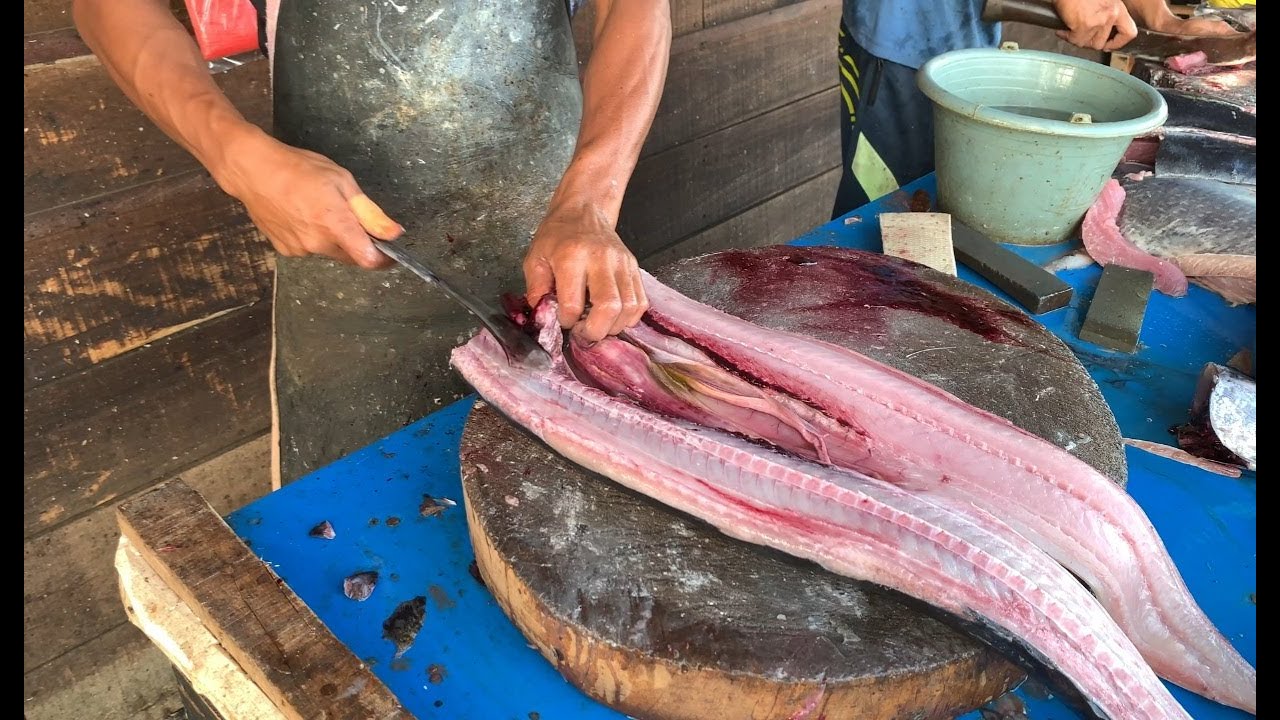 Slice Like a Pro - Barracuda Knife Skills for Culinary Perfection ...