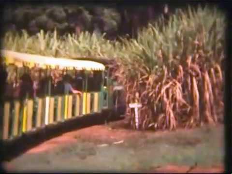 Big Pineapple train Nambour Queensland 1980 footage - YouTube