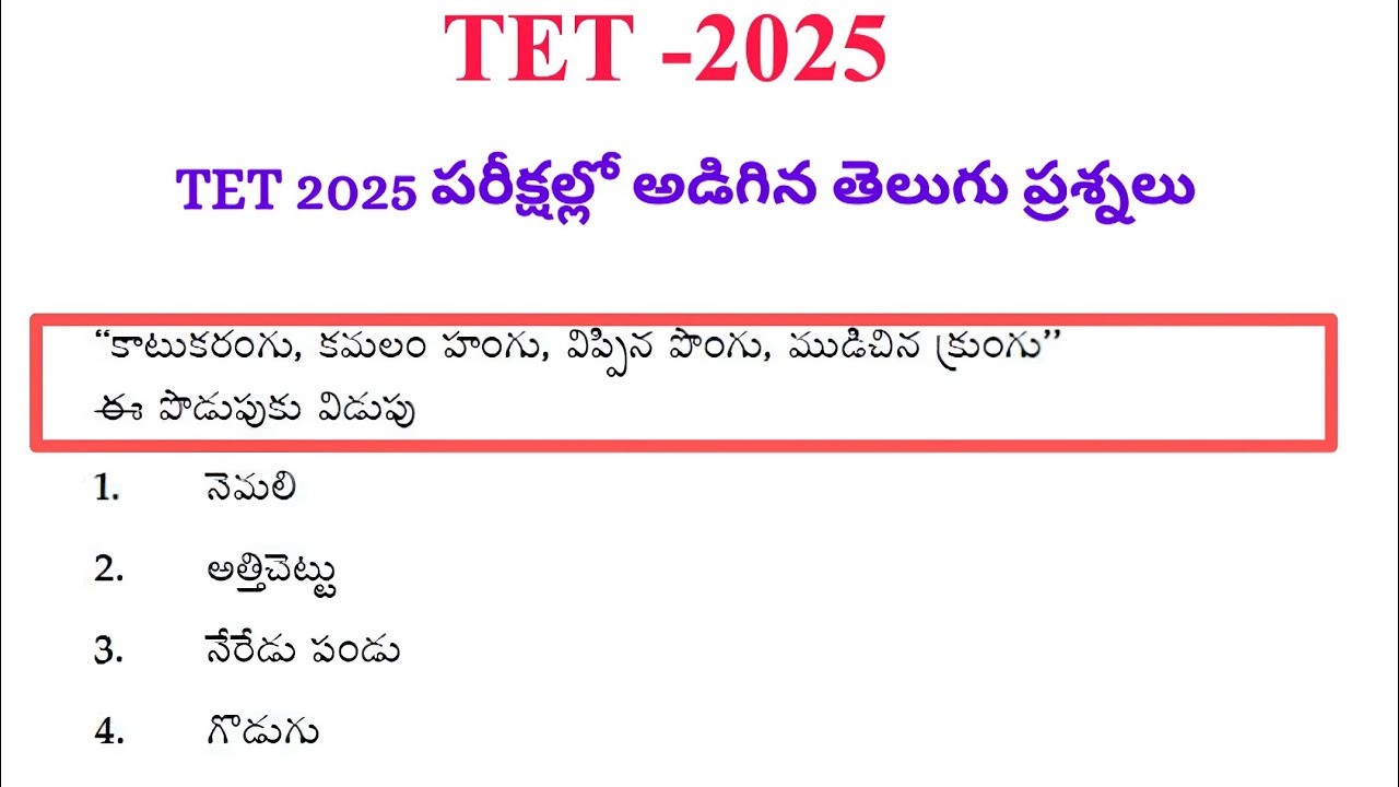 TET 2025 పరీక్షల్లో అడిగిన తెలుగు ప్రశ్నలు|DSC|TET| - YouTube