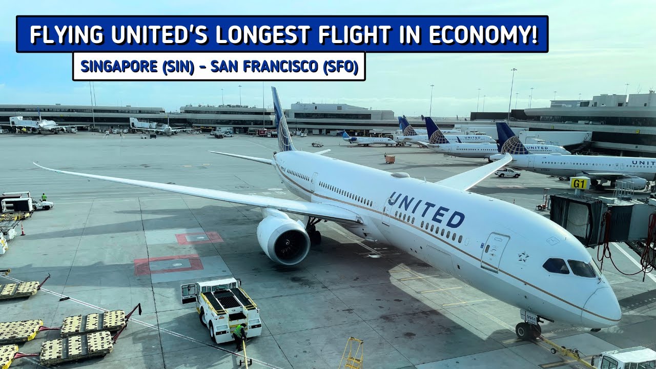 REVIEW | United Airlines | Singapore (SIN) - San Francisco (SFO ...